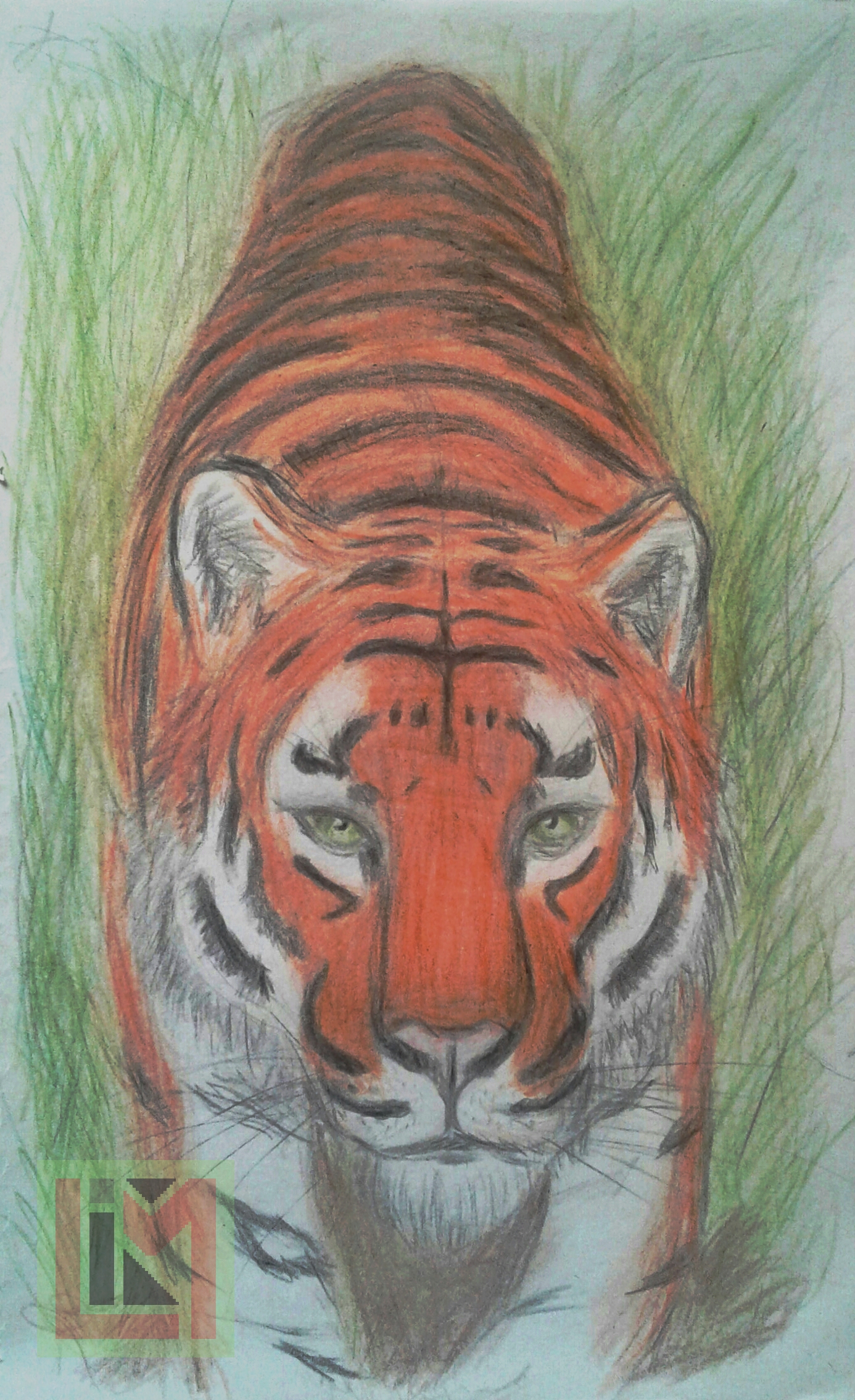 Tiger Pictures To Draw In Color