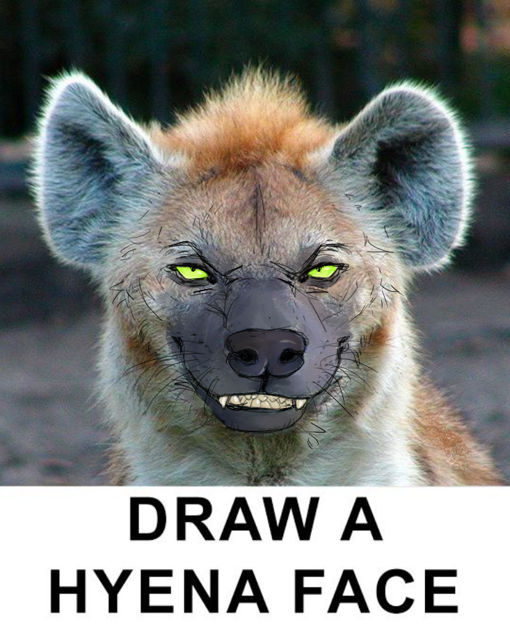 Funny Hyena Memes