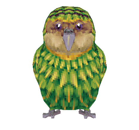 Gif De Kakapo